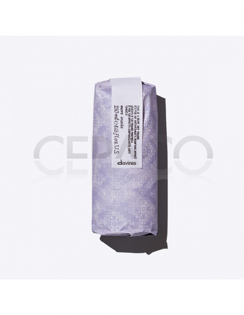 DAVINES MORE INSIDE This is a blow dry primer 250ml | CEPACO, le centre ...